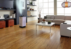 Innova NanoJet Technologies LTD - CES 2025